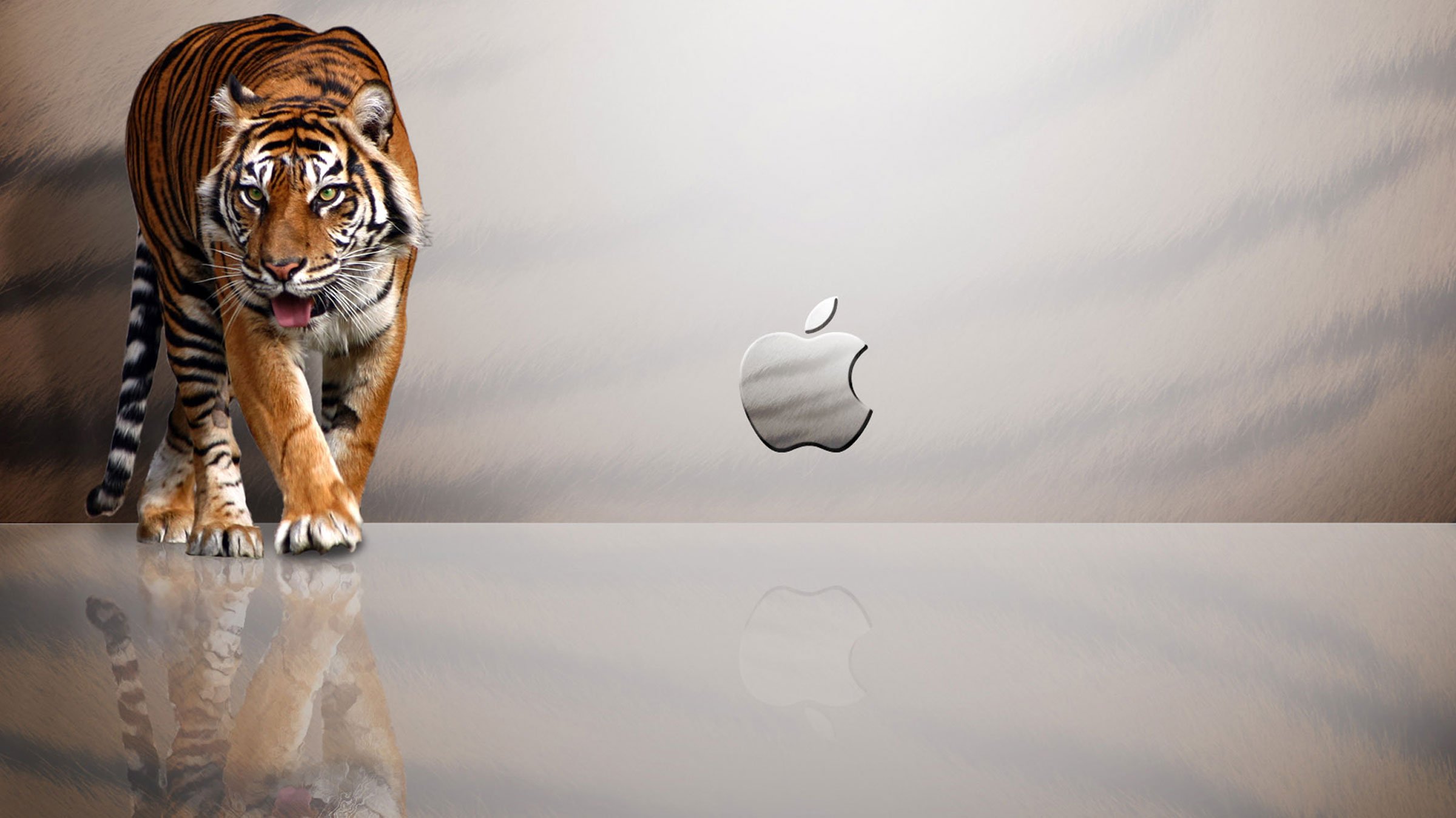 MOTU Tiger Compatibility: now shipping | News | MOTU.com